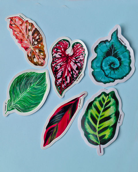 Set Stickers Hojas – Jo Jiménez